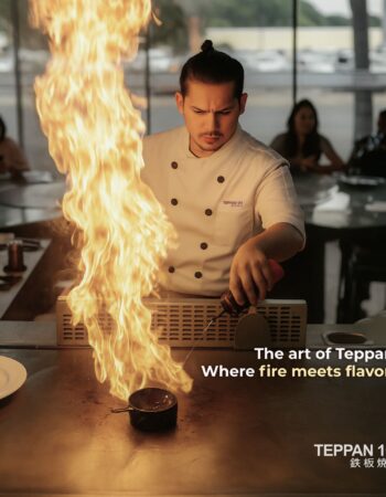 Teppan 101 – CitySurv Business Solutions, Inc.